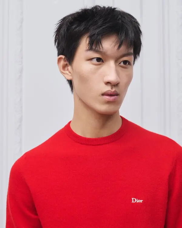 Dior Sweater With Embroidery - Red Cashmere Jersey | Editorialist